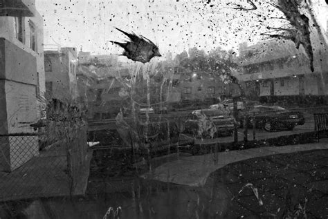 The Bottom Jared Thorne