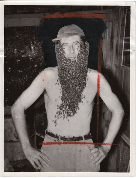 Bee Beard Beard Women Womens Top