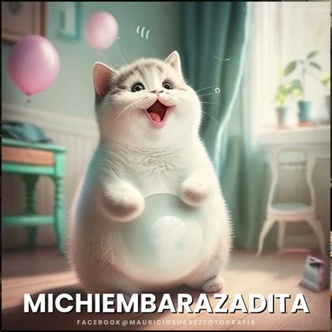 Michi Profesiones Y Michi Actividades Solo Gatos