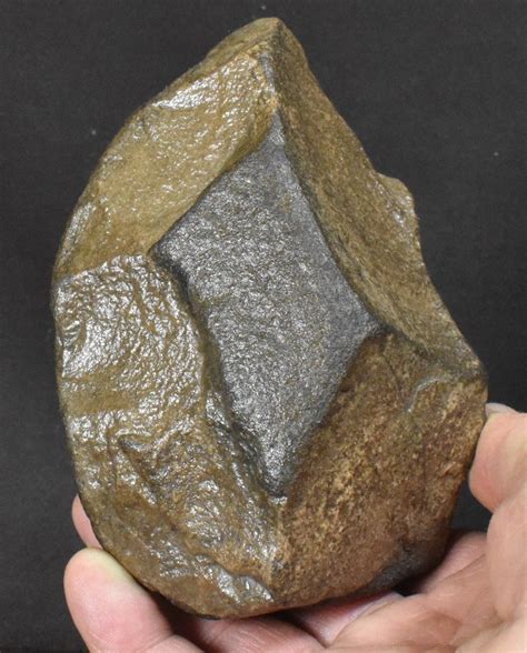 Paleolithic Quartzite Big Proto Bifacial Hand Ax Catawiki