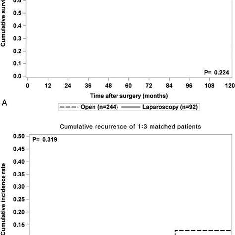 The A Overall Survival Curve And B Cumulative Recurrence Curve Of