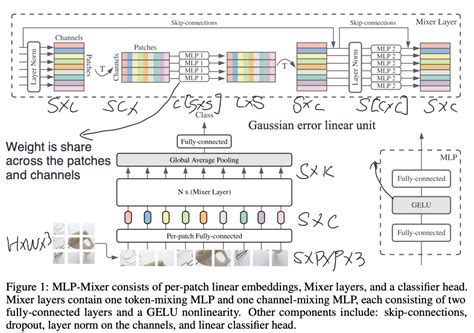 Mlp Mixer An All Mlp Architecture For Vision Qiang Zhang