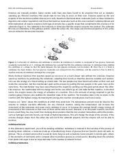 Biofuel Enzyme Kit Babe Part Only Docx BIOL 3251 Cell Molecular Biology Enzyme Kinetics
