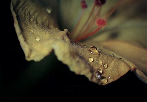 Hibernation Mode On Behance