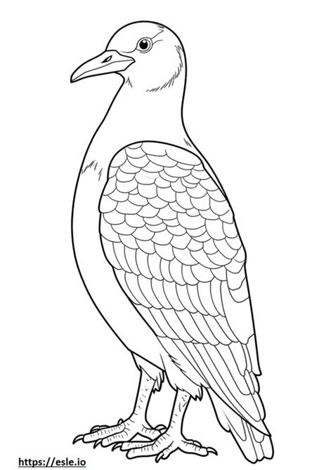 Woodpecker Coloring Pages Free Printable