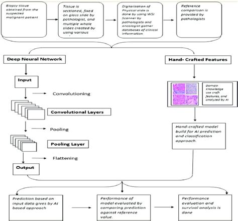 Workflow Of Dnn And Hand Crafted Model In Digital Pathology 2