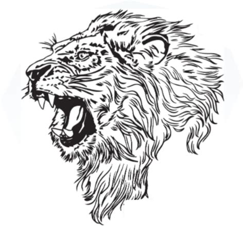Design Vectorize Image To Dxf Ai Plt Svg Eps For Cnc Laser