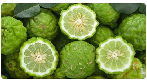 5 Citrus Bergamot Benefits Dosage And Safety The Botanical Institute