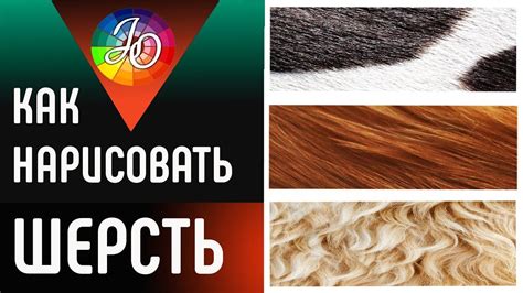 МАСТЕР КЛАСС Как нарисовать шерсть или мех цветными карандашами Youtube