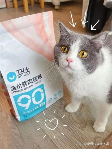 你心目中的国产顶级猫粮是什么 知乎