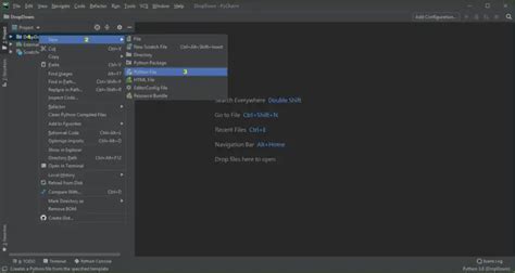 Drop Down List In Python With Source Code