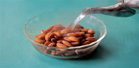 Soaked Almonds Benefits 10 Benefits To Start Today Max Lab