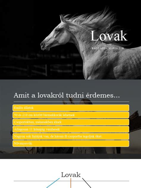 Lovak Pdf