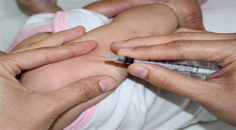 Mantiene El Imss En Bcs Su Llamado A Vacunarse Contra La Influenza