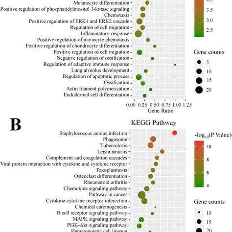 Go Annotation And Kegg Pathway Analysis Of Degs A Go Terms
