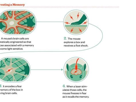 Memory Manipulation презентация доклад проект скачать