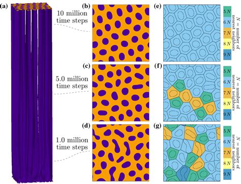 A Three Dimensional Rod Like Microstructure Recovered In The