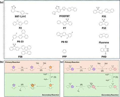 High Throughput Screening Of Molecule Polymer Photocatalysts For The Hydrogen Evolution Reaction