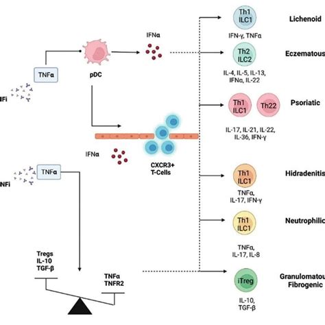 Skin Related Adverse Reactions Induced By Tumor Necrosis Factor