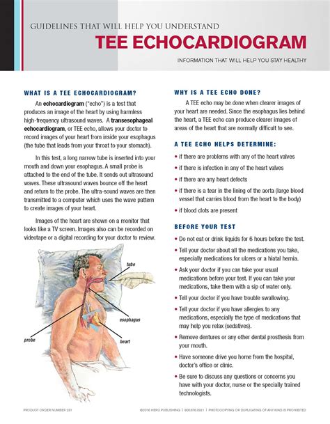 Right Ventricular Inflow View Tee Cardiac Sonography