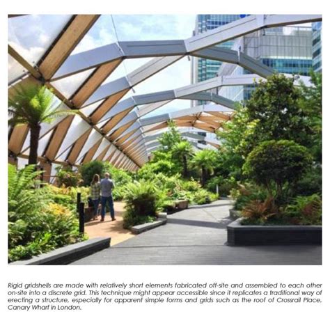 Timber Gridshells Parametric House