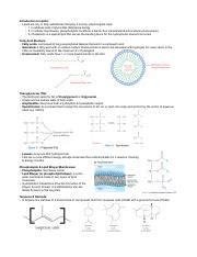 Understanding Lipids Roles Structures And Functions Explore Course Hero