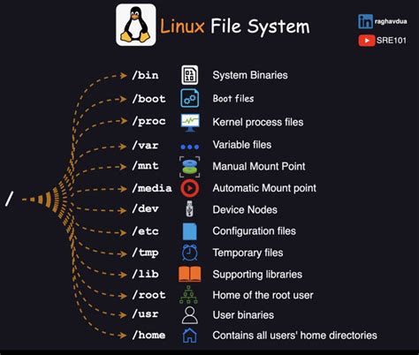 Linux File System Directories Explained A Thread Mastering Linux Is Paramount For