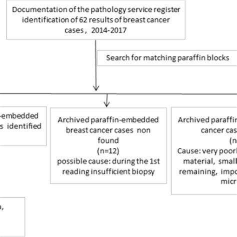 Paraffin Block Selection Flowchart Download Scientific Diagram