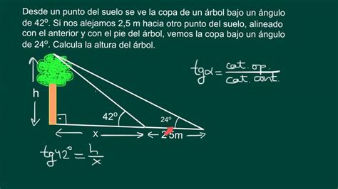 Funciones Trigonométricas Y Sus Aplicaciones CÁlculo De Alturas Hot