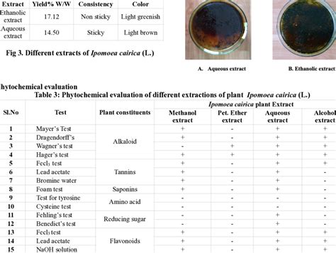 Standard Calibration Curve For Quercetin Download Scientific Diagram