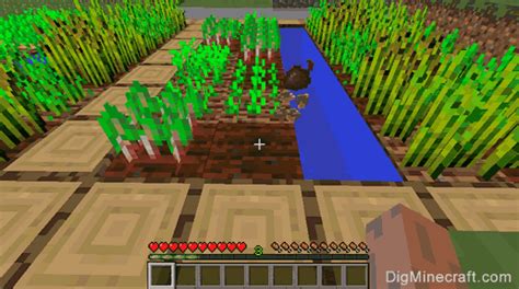 How To Make Beetroot Seeds In Minecraft