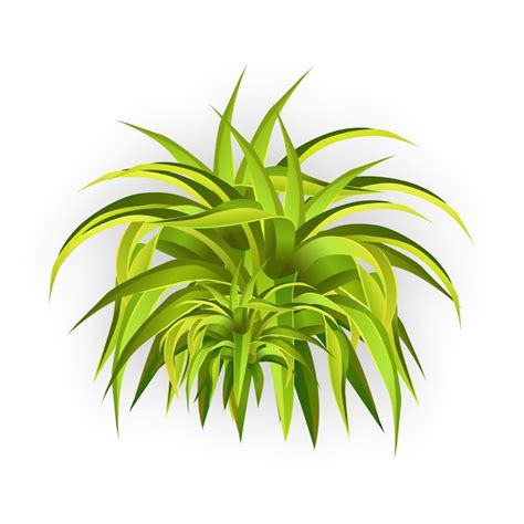 Premium Vector Green Grass In The Pot Isolated
