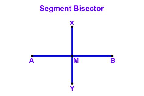 Segment Bisector Lesson Definition Types And Examples Must Know Tips And Examples