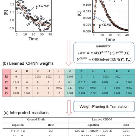 Schematic Of The Chemical Reaction Neural Network Illustrated For A