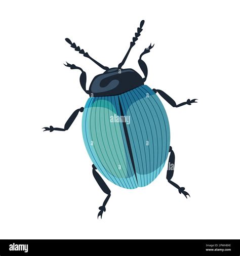 Realistic Insect On White Background Cartoon Illustration Lady Bug