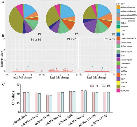 Small Rna‐sequencing Showed A Comparable Composition Of Small Rnas In Download Scientific