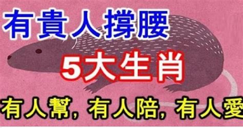 有貴人撐腰的5大生肖，有人幫有人陪有人愛！ Peekme