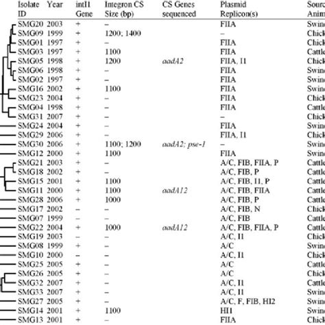 Cluster Analysis Of Salmonella Typhimurium Isolates Based On Results Of