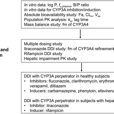 Simulation Strategy Parameters Used To Build And Verify The Model Are Download Scientific