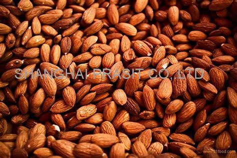 Almond Nutschina Almond Nuts Price Supplier 21food