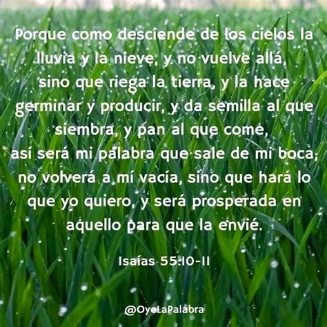 Bib La Biblia Es Como Lluvia Isa As In Spotify