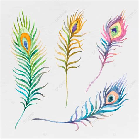 Peacock Feather Pattern Vector Hd Png Images Colorful Watercolor Peacock Feather Vector Set