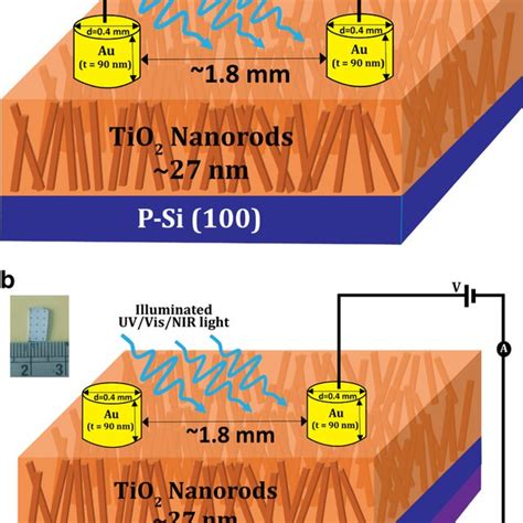 Schematic Illustration Of The Fabricated A Autio2 Nanorodsp Si
