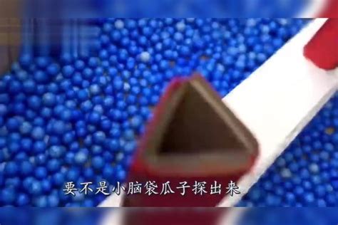 仓鼠勇闯迷宫历险不料遭遇怪物围追堵截它能逃出生天吗 怪物 仓鼠 迷宫