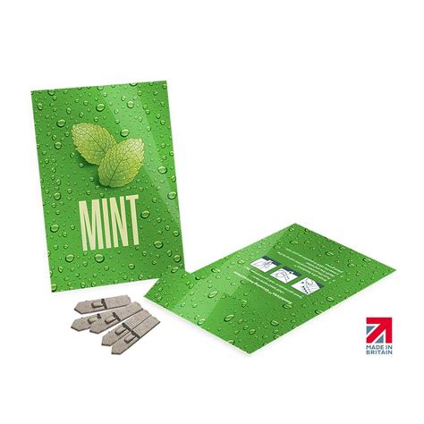 Small Seed Packets Gloss Lsi
