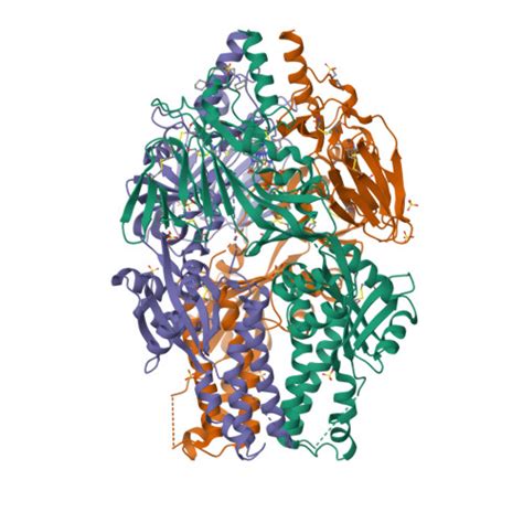 RCSB PDB 5EA4 Crystal Structure Of Inhibitor JNJ 49153390 In Complex