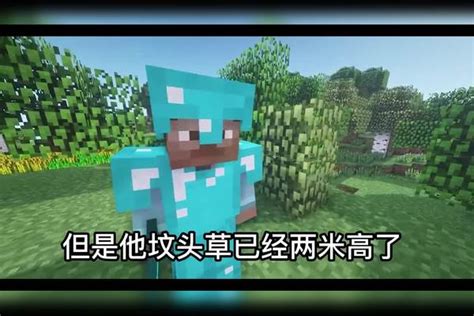 我的世界：阿青主持正义，禁止欺软怕硬
