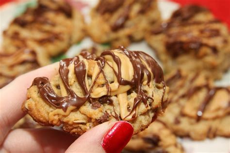 Chocolate Peanut Butter Lactation Cookies For The Love Of Food
