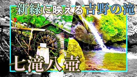 Ciao Nihon