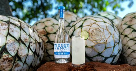 A New Vodka From Patrons Founders Is Distilled Entirely From Blue